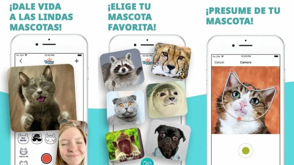 Cómo hacer que tus mascotas hablen con la aplicación Toppy | Stonkstutors