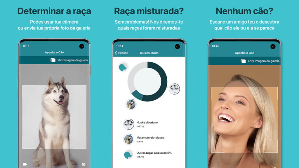 Aplicación‌ ‌Dog‌ ‌Scanner‌ ‌-‌ ‌Identificar‌ ‌la‌ ‌raza‌ ‌de ...