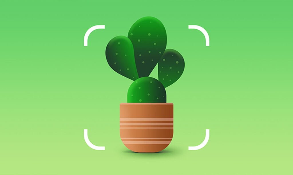 Aplicación Nature ID - Aprende a descargarla y utilizarla gratuitamente ...